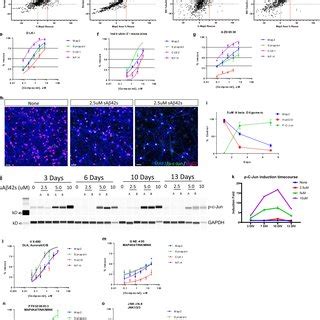 Focused Small Molecule Screen Identifies DLK JNK CJun Pathway