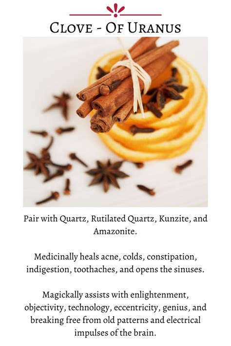 Six Herbs Spices To Enhance Your Magickal Culinary Life Artofit