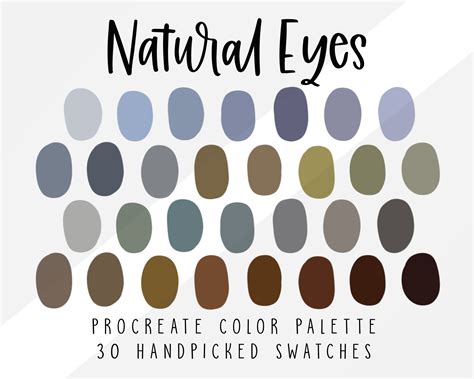 Natural Eye Color Palette For Procreate Portrait Color Etsy Australia