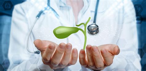 Comprehensive Guide To Gall Bladder Cancer And Treatment Kauvery