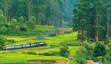 Ooty Tour Packages From Bangalore Ooty Tour Packages Online Booking