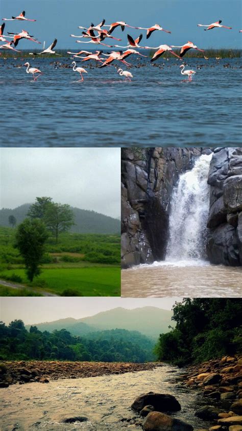 7 Best Destinations To Visit During Winter In Odisha