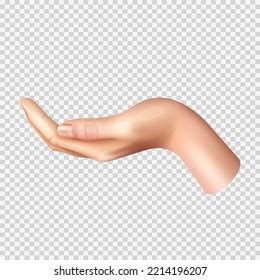 Human Hands Gestures Realistic Images Stock Vector Royalty Free