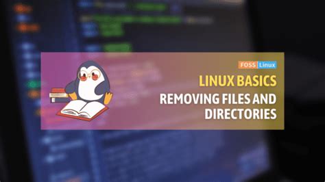 How To Remove Delete A File Or Directory In Linux