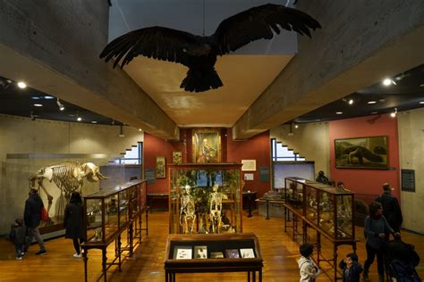 Museos De Barcelona Para Ir Con Niños Actividad del Niño