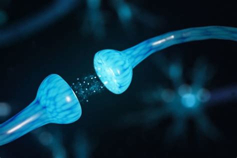 Qu Es La Neuroplasticidad Tipos Y Consejos Para Mejorarla Neuraces