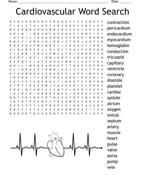 Cardiovascular Word Search Puzzle Wordmint The Best Porn Website