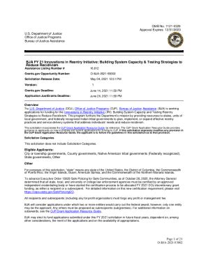 Fillable Online BJA FY 21 Innovations In Reentry Initiative Building