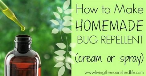 Natural Homemade Mosquito Repellents That Absolutely Work