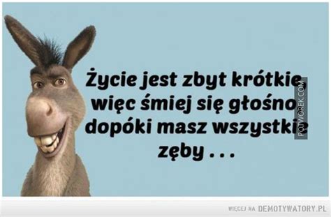 Demotywatory Memy Zwierzęta Potworek dowcipy kawały