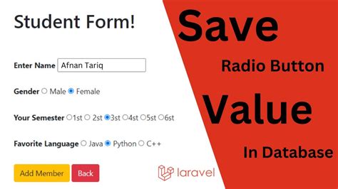 insert a radio button value into database using laravel laravel forms youtube