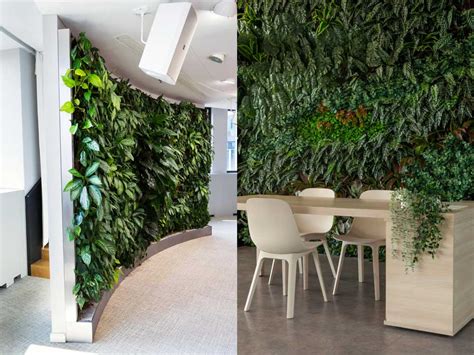 Guía completa para diseñar y construir tu propio jardín vertical El