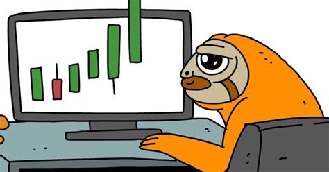 What Is Slerf Solana Meme Coin Flies As Developer Loses Million In