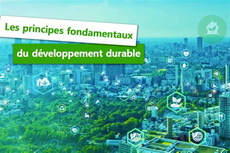 Les Fondamentaux Du D Veloppement Durable En Pari Durable