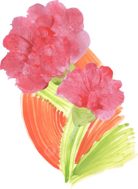 Dusty Clavel Rojo Pétalo Flores De Acuarela Dibujo Mano Ilustraciones