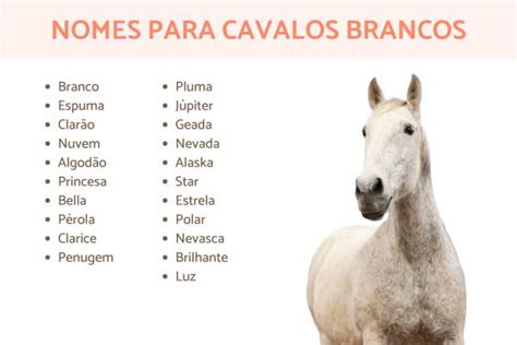 Escolhendo O Nome Perfeito Para O Seu Cavalo Confira Algumas Sugest Es