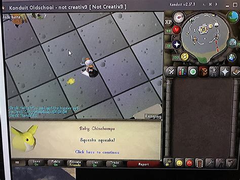 Chincompa Pet Osrs - Dallascollege Innovation