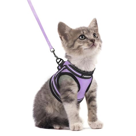 Pet Supplies Rabbitgoo Cat Harness And Leash Set For Walking Escape