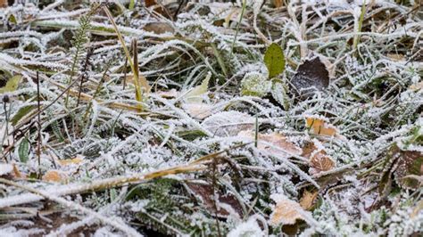 Frente Fria Traz Queda De Temperaturas E Geadas