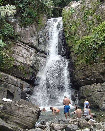 Bosque nacional El Yunque Río Grande Puerto Rico Descubra Puerto Rico