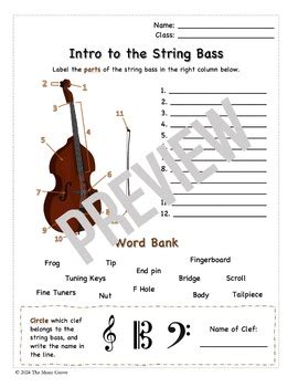 Introduction To The String Bass Worksheet Parts Strings Note Names