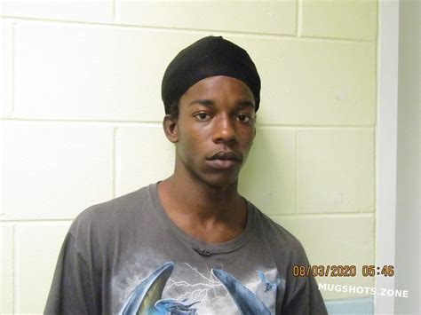 Bleau Andre Jermaine Alachua County Mugshots Zone