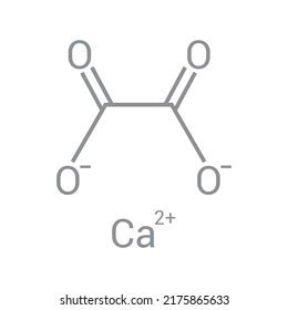 Chemical Structure Calcium Oxalate Cac2o4 Stock Vector Royalty Free