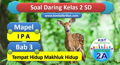 Soal Ipa Daring Kelas Bab Bentuk Dan Wujud Benda Kst Bimbel Riset
