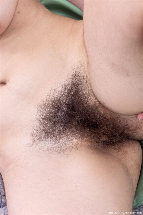 Babe Today We Are Hairy Miri Di Gifs Amateur Gifxxx Mobile Porn Pics