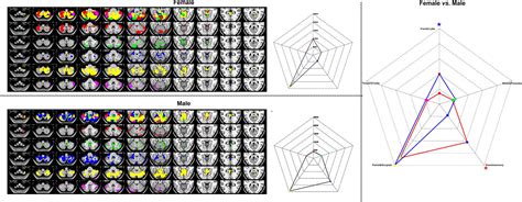frontiers bcct a gui toolkit for brain structural covariance connectivity analysis on matlab