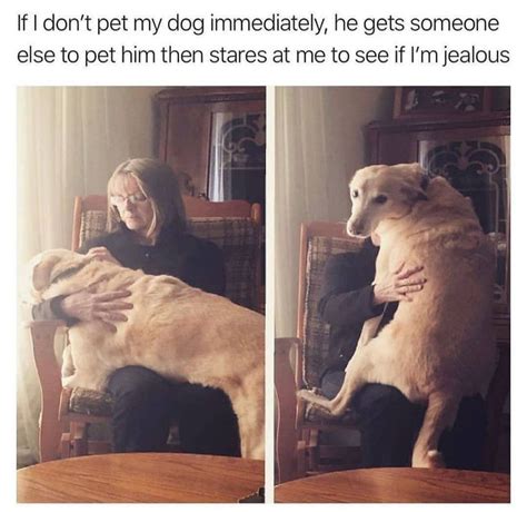 His Face Says It All 9GAG