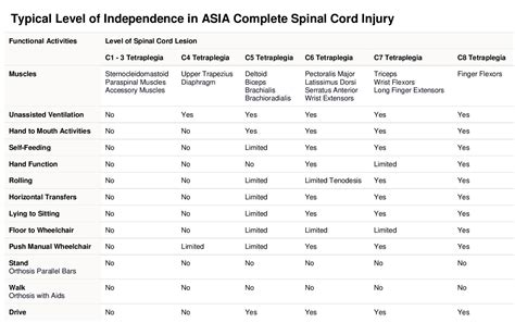 Spinal Cord Injury Levels And Function Chart