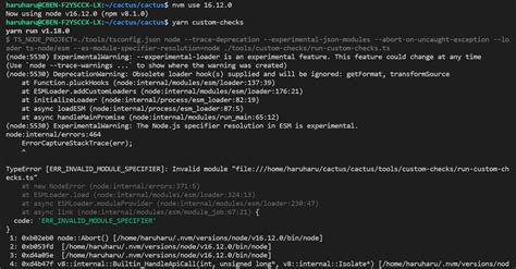 Fix Custom Checks Script From Package Json Does Not Work