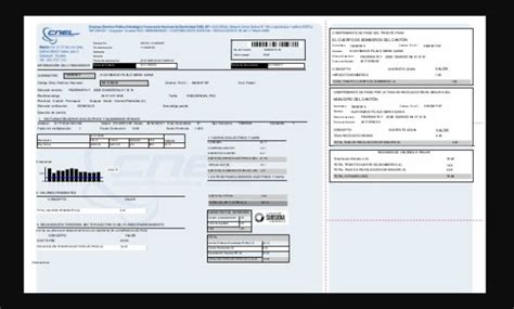Como consultar mi Planilla de Luz CNEL Guía paso a paso Actualizado