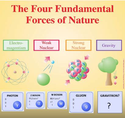 Curioustem The Four Fundamental Forces