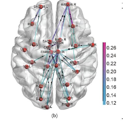 an example of directed eeg functional connectivity patterns between a download scientific