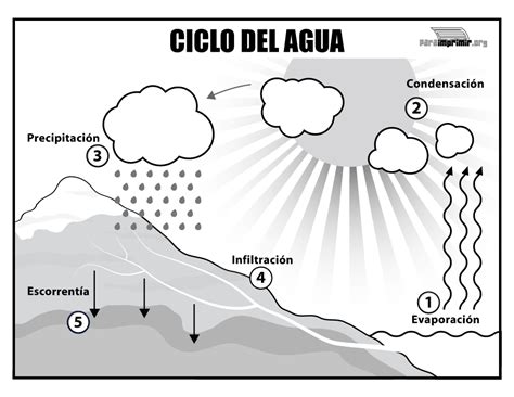 Ciclo Del Agua Para Imprimir En PDF 2024