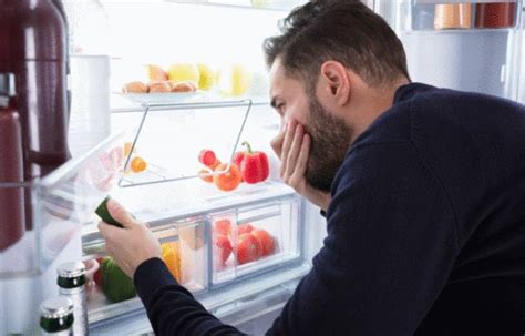 Comment Enlever La Mauvaise Odeur Du Frigo Tout Pratique