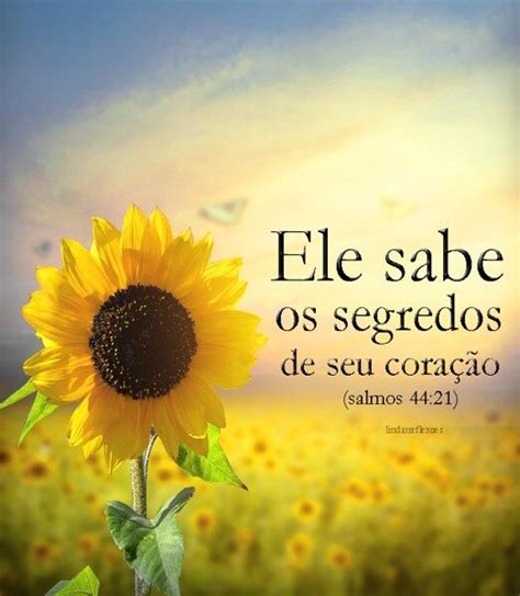 Deus Sabe De Todas As Coisas Vers Culo E Significado