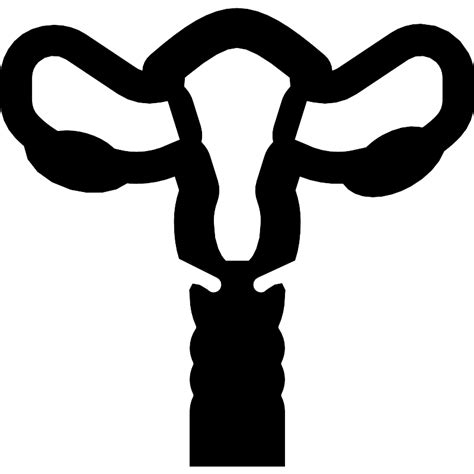 Uterus Vector Svg Icon Svg Repo