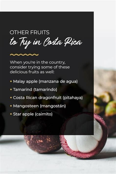 11 Must Try Costa Rican Fruits Villa Punto De Vista Luxury Estate