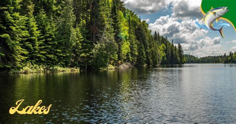 The Best Fishing Lakes In California Captain Dixon