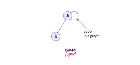 graph data structure scaler topics