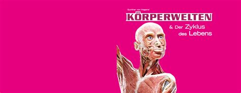 K Rperwelten Tickets Karten Jetzt Bei Oeticket Bestellen