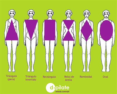 CONOCES LA FORMA DE TU CUERPO Franquicias D Pilate
