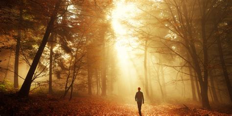 The Difference Between Mind Wandering And Mind Wondering John