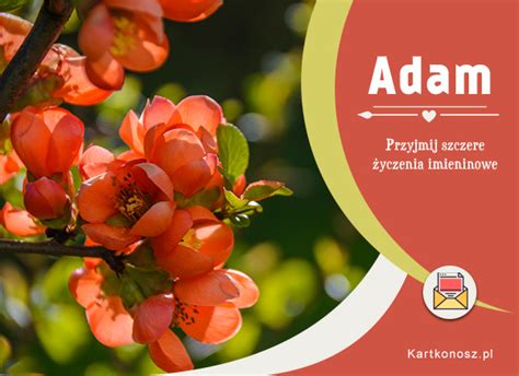 Kartka dla Adama Darmowe e kartki Imieniny Imienne Męskie