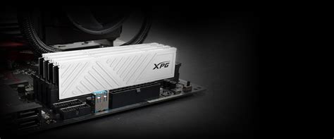Mem Ria Gammix D Ddr Xpg