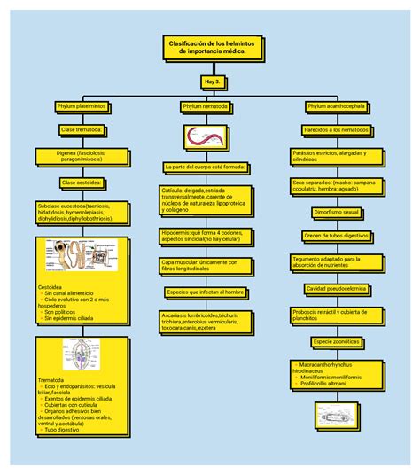 Clasificacion De Los Mapas Mind Map The Best Porn Website