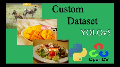 YOLOv5 Training Yolov5 Object Detection Model On A Custom Dataset